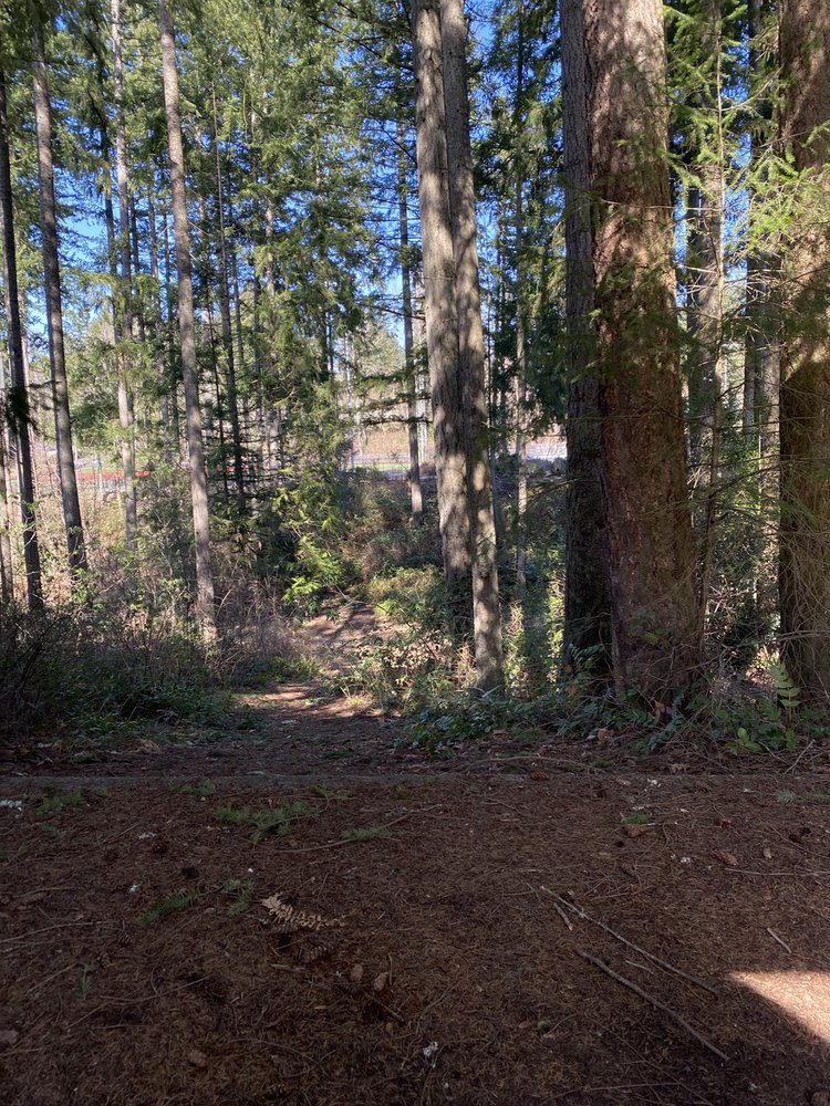 MAYWOOD MIDDLE SCHOOL - Updated March 2025 - 14 Photos - 14490 Patriot ...