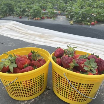 ATKINSON FARM - Updated August 2025 - 167 Photos & 71 Reviews - 3217 ...