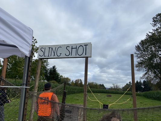 PICHA FARMS - Updated October 2024 - 66 Photos & 33 Reviews - 6502 52nd ...