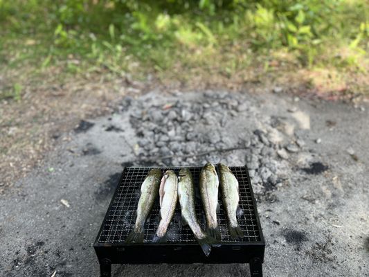 DELONG LAKE PARK - Updated December 2025 - 11 Photos - 6398 Jewel Lake ...