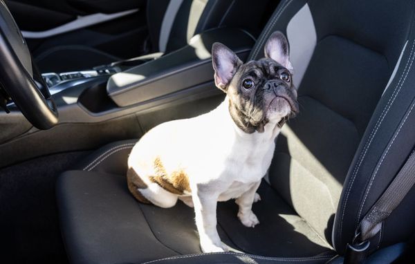 MAX AUTO SALES - Updated October 2025 - 36 Photos - 6731 IH-35 S, San ...