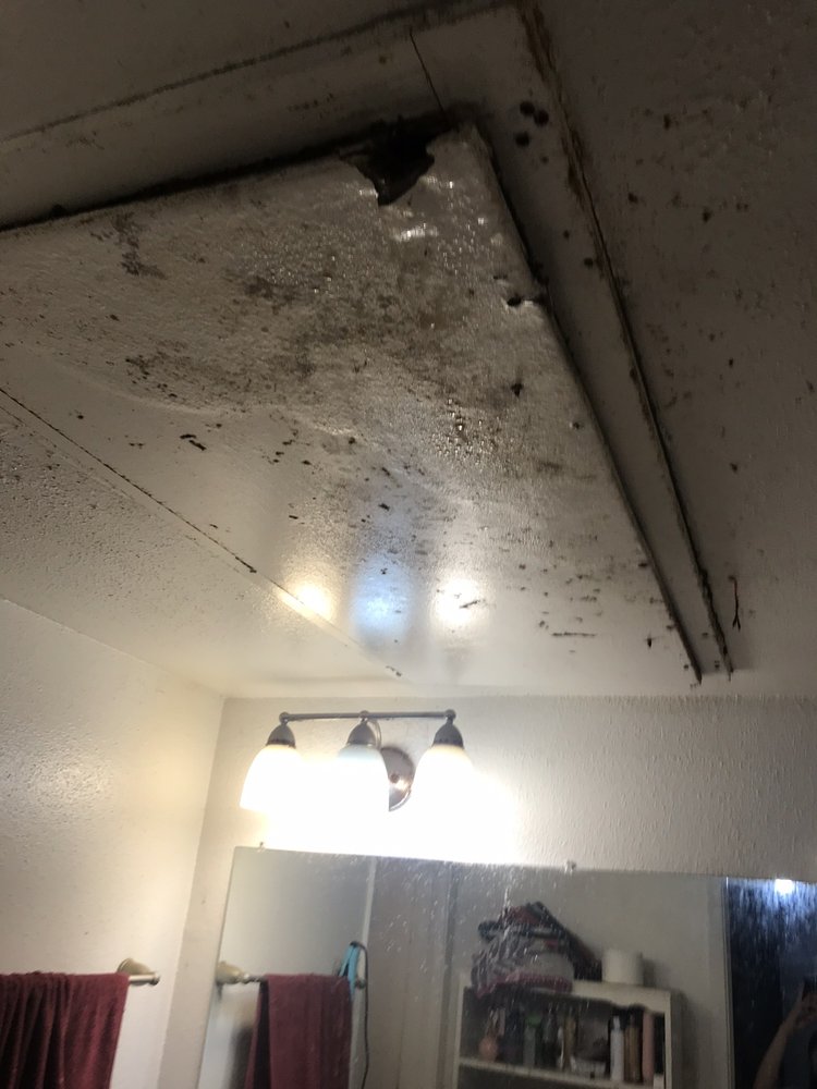 PALMS ON WESTHEIMER - Updated July 2025 - 10 Photos - 6425 Westheimer ...