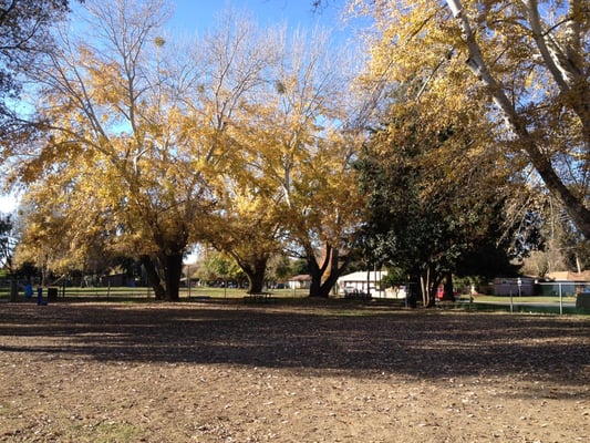 SAM COMBS PARK - Updated October 2025 - 19 Photos & 13 Reviews - 205 ...