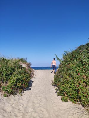 Rexhame Beach - 30 Photos & 35 Reviews - Beaches - Standish St ...