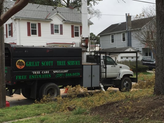 GREAT SCOTT TREE SERVICE - Updated May 2026 - 38 Photos & 38 Reviews ...