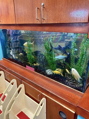 PASO ROBLES PUBLIC LIBRARY - Updated October 2025 - 17 Reviews - 1000 ...