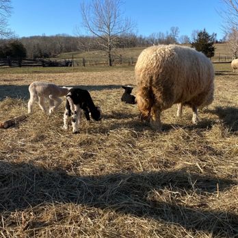 HOWELL LIVING HISTORY FARM - Updated December 2025 - 46 Photos & 21 ...