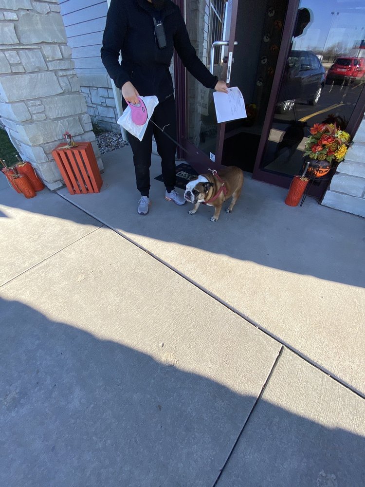 COUNTRYSIDE VETERINARY SERVICES OF FOX VALLEY - Updated February 2025 ...