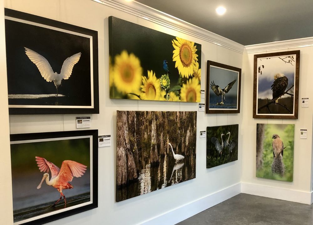 ROBERT ROMMEL GALLERY OF NATURE - Updated July 2025 - 14 Church St ...