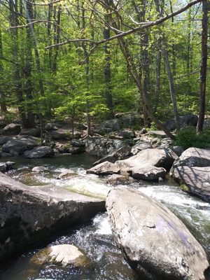 ST. PETER’S VILLAGE - 44 Photos - 3471 St Peter's Rd, Saint Peters ...