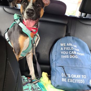 OAHU SPCA - Updated October 2024 - 128 Photos & 144 Reviews - 823 Olive ...