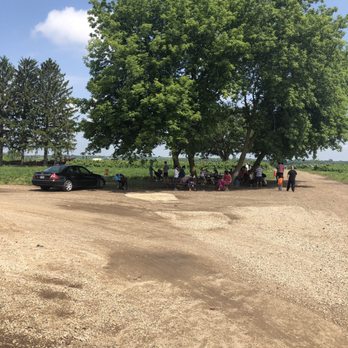 HEIDER’S BERRY FARM - Updated December 2025 - 38 Photos & 17 Reviews ...