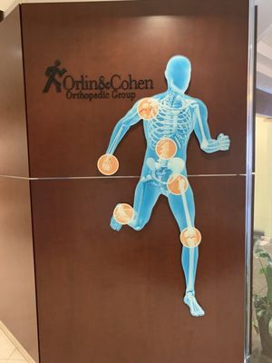 ORLIN & COHEN ORTHOPEDIC GROUP - Updated January 2026 - 15 Photos & 132 ...