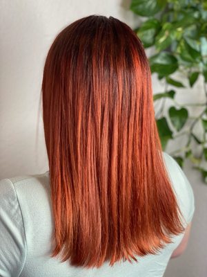 DIVINE HAIR DESIGN - 106 Photos & 98 Reviews - 3544 E Southern Ave ...