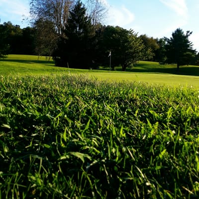 LINCOLN TRAIL GOLF COURSE - Updated October 2025 - 17 Photos - 900 ...