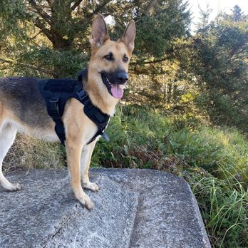 HUMANE SOCIETY FOR SOUTHWEST WASHINGTON LONGVIEW CAMPUS - Updated May ...