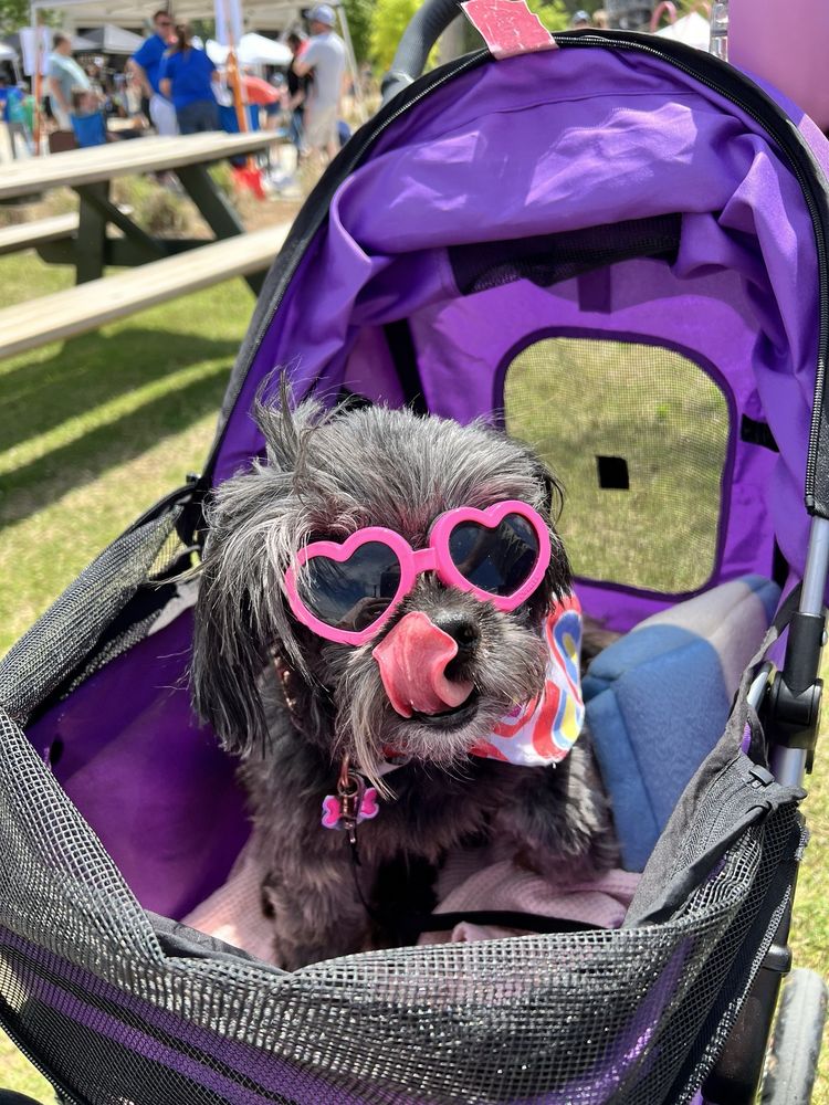 PARADISE ANIMAL HOSPITAL - Updated December 2025 - 28 Photos - 128 ...