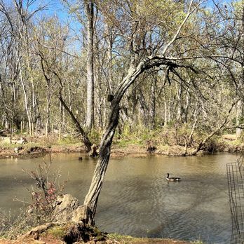 CONESTEE NATURE PRESERVE - Updated January 2026 - 134 Photos & 33 ...