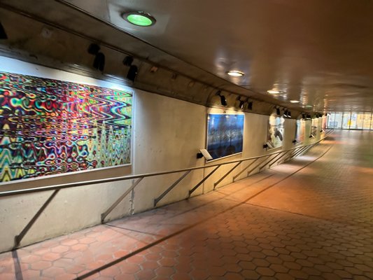 BETHESDA METRO STATION - 105 Photos & 28 Reviews - 7450 Wisconsin Ave ...