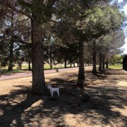 BARKIN’ BASIN DOG PARK - 165 Photos & 117 Reviews - Dog Parks - 7341 W ...
