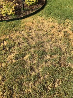 ANDY’S SPRINKLER, DRAINAGE & LIGHTING - Updated August 2025 - 31 Photos ...