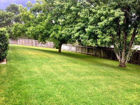 D&M LANDSCAPING KINGS - Updated August 2025 - 13 Photos & 12 Reviews ...