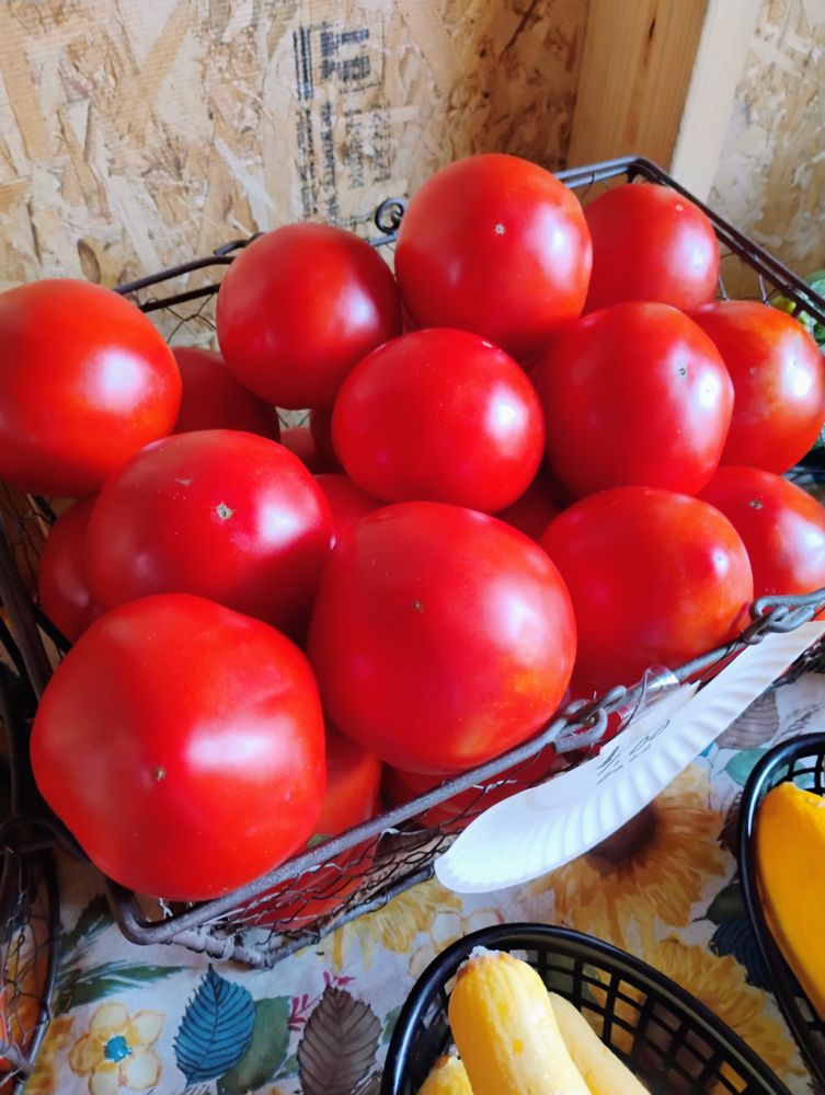 SUWANNEE RIVER PRODUCE - Updated June 2025 - 10572 Bridge St, White ...