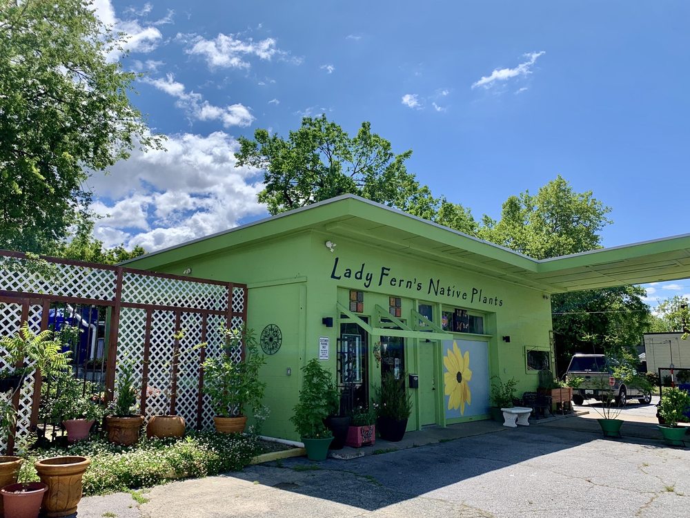 LADY FERN’S NATIVE PLANTS - Updated June 2026 - 4900 Colley Ave ...