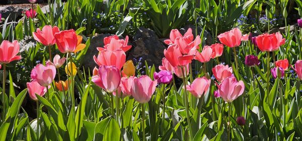 CRYSTAL HERMITAGE GARDENS - Updated April 2026 - 250 Photos & 36 ...