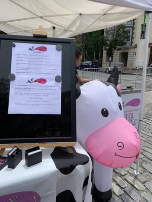 BOOZY MOO - Updated October 2025 - 16 Sheridan Ave, Albany, New York ...