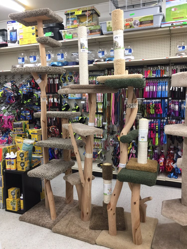 MINI PET MART - Updated October 2025 - 47 Photos & 11 Reviews - 1740 N ...