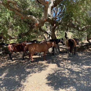 POLY CANYON TRAIL - Updated November 2025 - 38 Photos & 15 Reviews ...