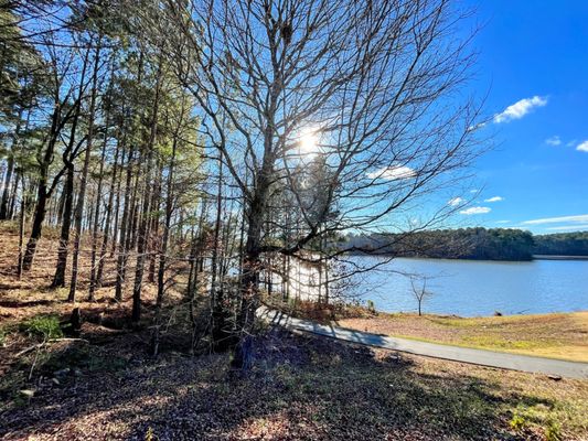 PLANTERRA CLUB - Updated August 2025 - 500 Clubhouse Dr, Peachtree City ...