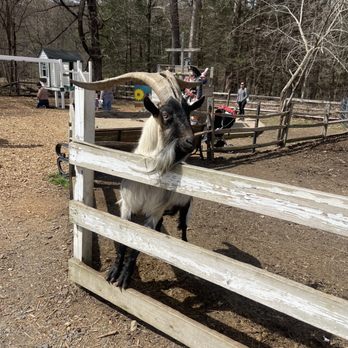 FLAMIG FARM - Updated November 2025 - 393 Photos & 73 Reviews - 7 ...