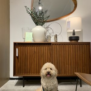 GRANFALLOON RESTAURANT & BAR - Updated July 2024 - 148 Photos & 195 ...