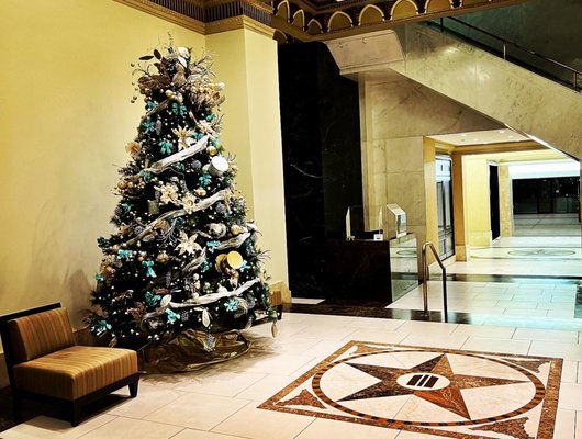 ANSON 11 - Updated November 2024 - 747 Photos & 556 Reviews - 303 N ...