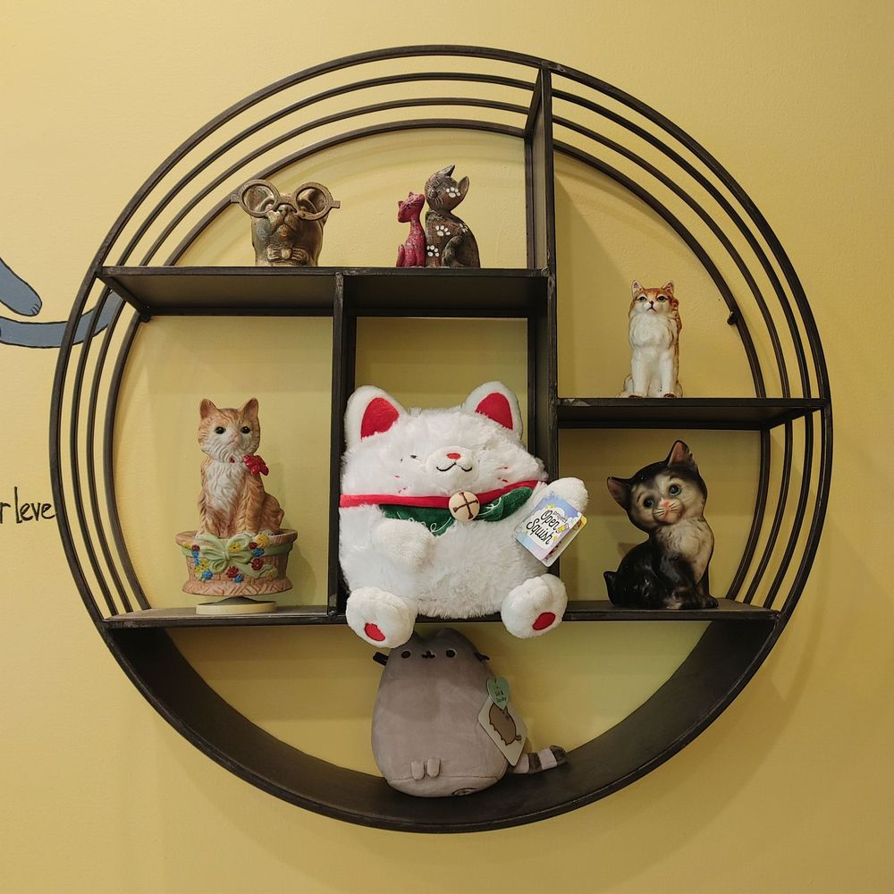 THE PAWSITIVE CAFE - Updated December 2025 - 35 Photos & 12 Reviews ...