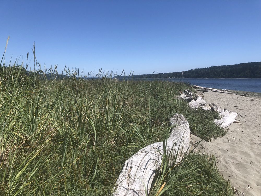 ANDERSON POINT COUNTY PARK - Hiking - SE Milihanna Rd, Olalla, WA ...