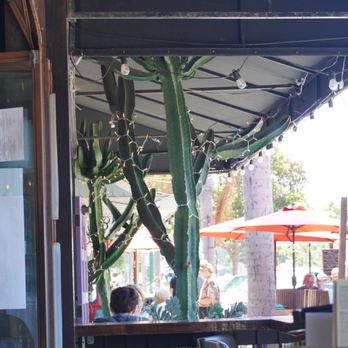 THE ROXY ENCINITAS - Updated April 2025 - 506 Photos & 718 Reviews ...