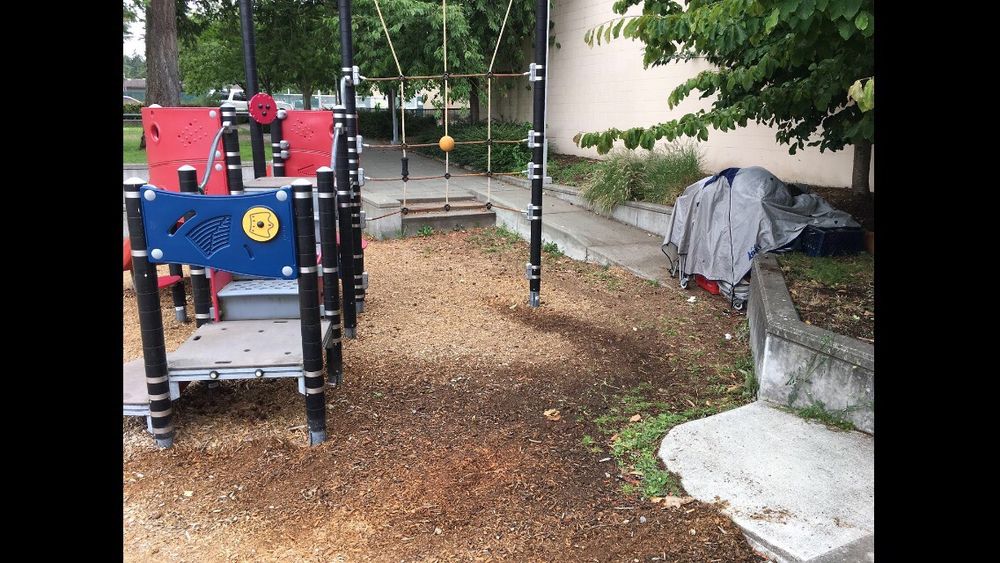 ALBERT DAVIS PARK - Updated May 2025 - 12526 27th Ave NE, Seattle ...