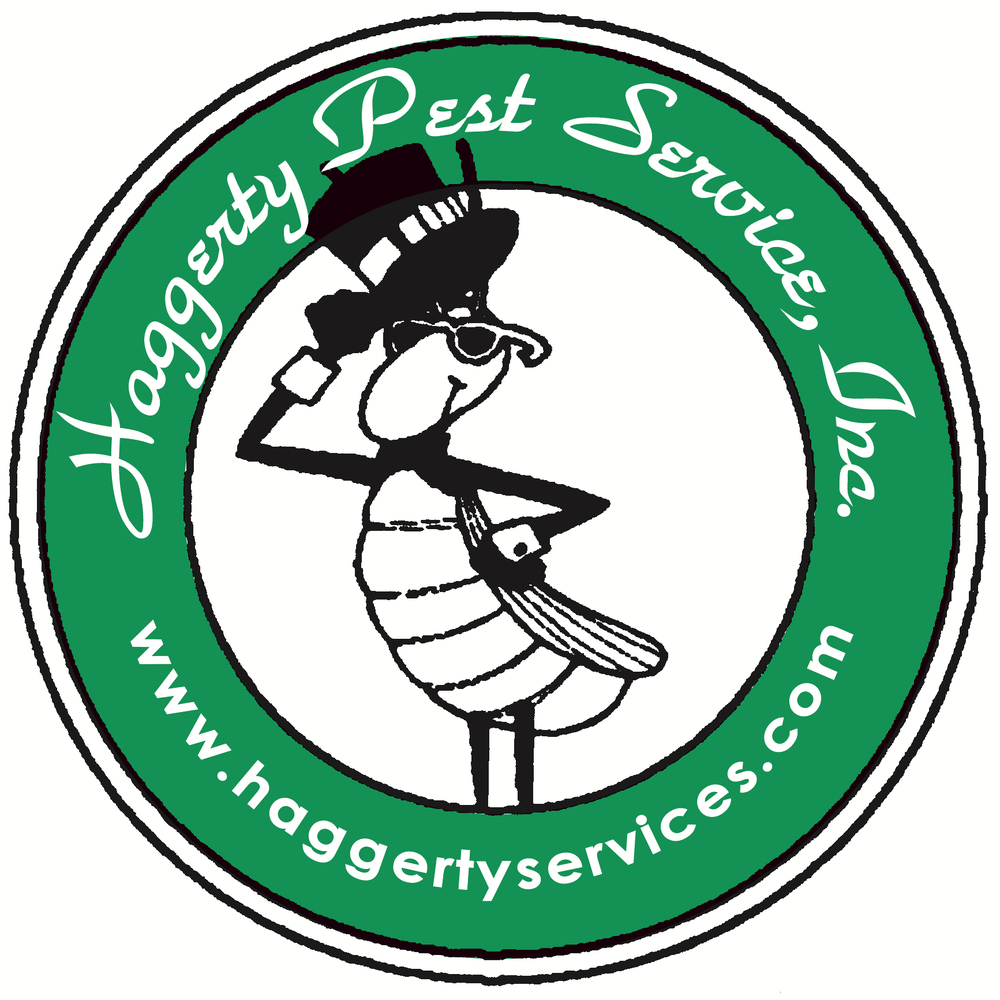 HAGGERTY PEST SERVICE - Updated September 2024 - Boca Raton, Florida ...