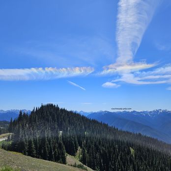 HURRICANE RIDGE - Updated October 2025 - 467 Photos & 106 Reviews - 600 ...