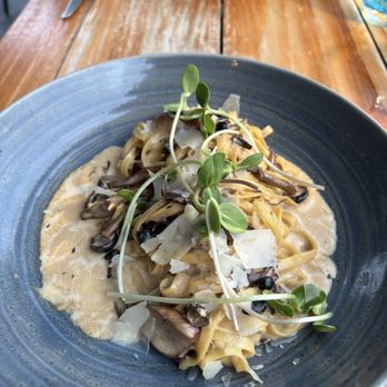 ALAIA - Updated December 2025 - 329 Photos & 115 Reviews - 57-091 ...