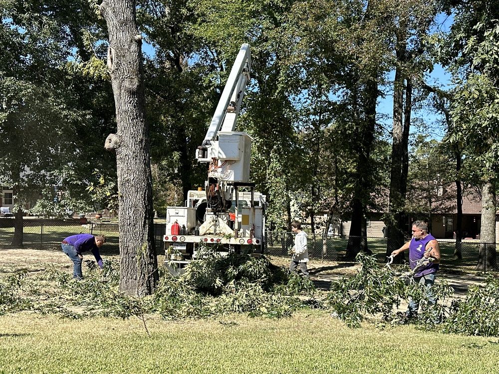 WILSON TREE SERVICE - Updated October 2025 - Lone Oak, Texas - Tree ...