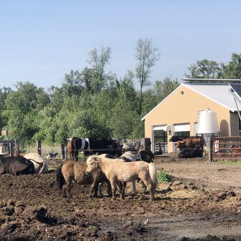 CALDER DAIRY & FARM - Updated August 2025 - 127 Photos & 42 Reviews ...