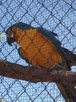 HERITAGE PARK ZOOLOGICAL SANCTUARY - Updated March 2025 - 143 Photos ...