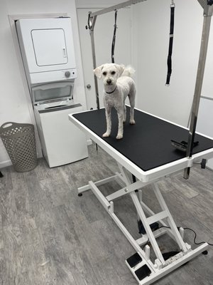 PAWS R US - 53 Photos & 28 Reviews - 7955 N Cedar Ave, Fresno ...