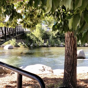 Open for Business - MAYBERRY PARK - 198 Photos & 47 Reviews - 121 ...