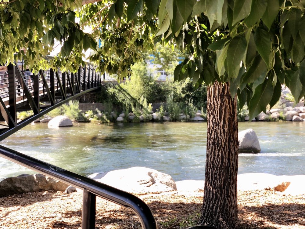 WINGFIELD PARK - Updated June 2024 - 237 Photos & 36 Reviews - 300 W ...