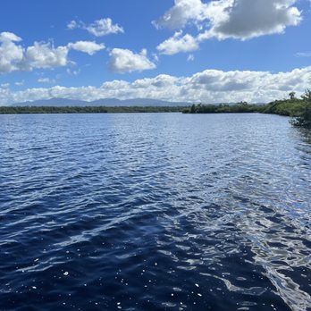 PIÑONES - Updated December 2025 - 164 Photos & 81 Reviews - Campamento ...